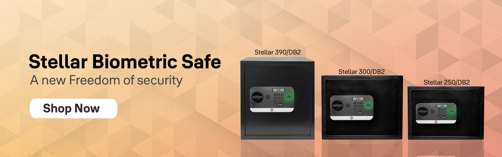 Stellar Biometric locker – Yale India