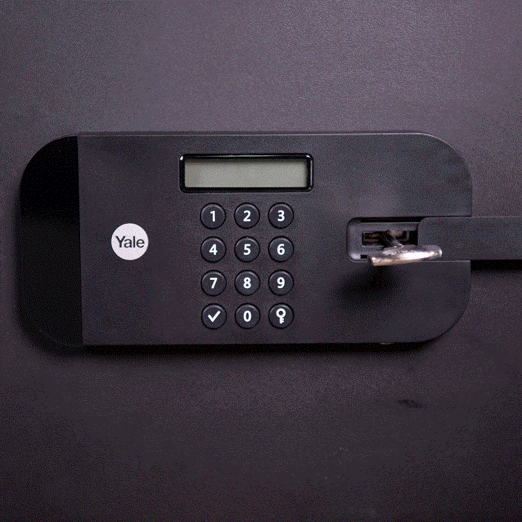YSFB/400/EB1 High Security Digital Safe Locker with Fingerprint and Pi – Yale India
